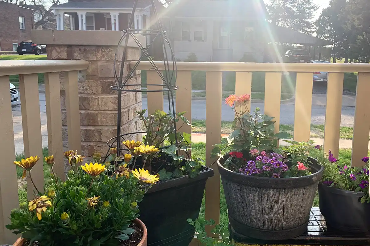 Longing For Home - LUTHERWOMAN